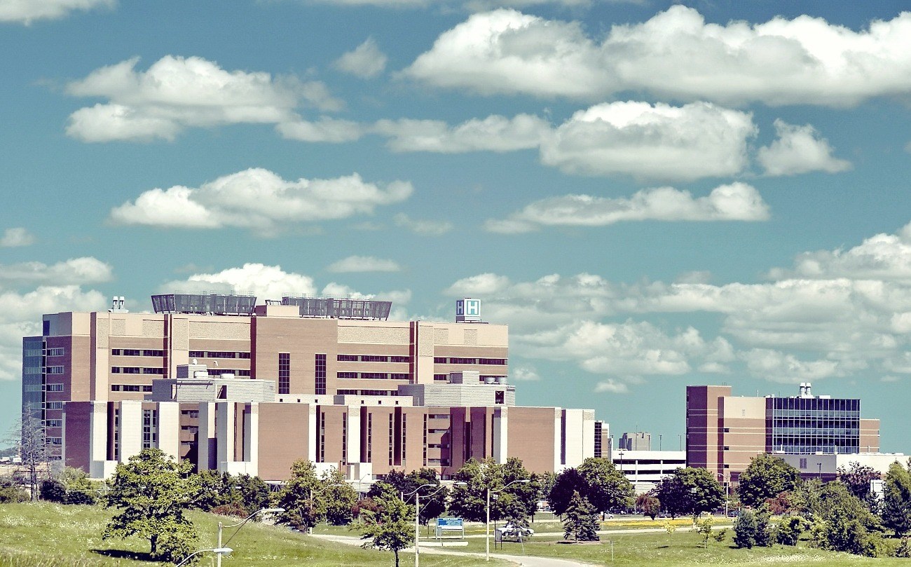 Studying Neuroscience at the University of Western Ontario (UWO)